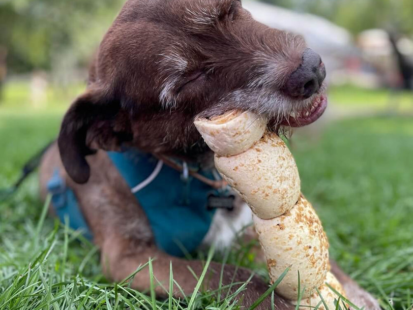 Are Beef Cheek Rolls Safe for Your Dog? – Healthy Dogma