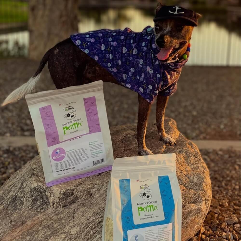 Puppy vs. Adult Dog Food – Healthy Dogma