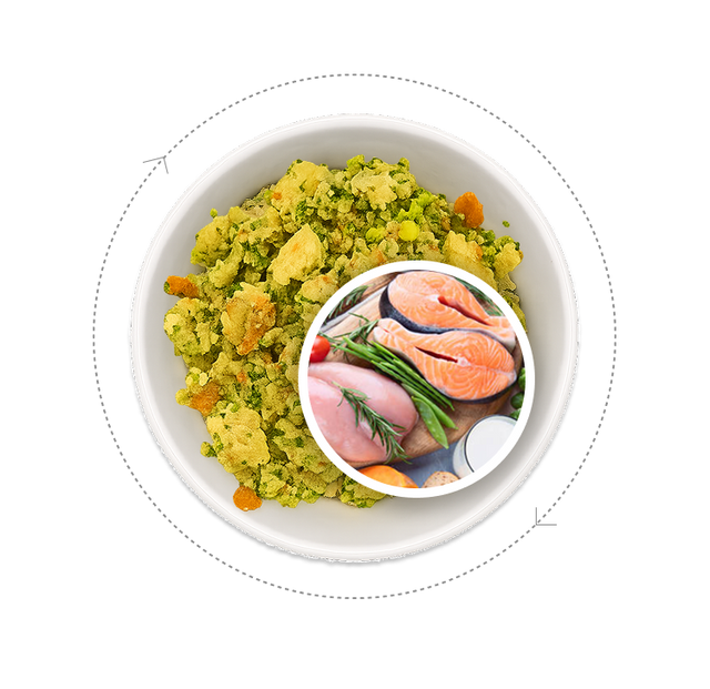 Why Clean Dog Food? – Healthy Dogma