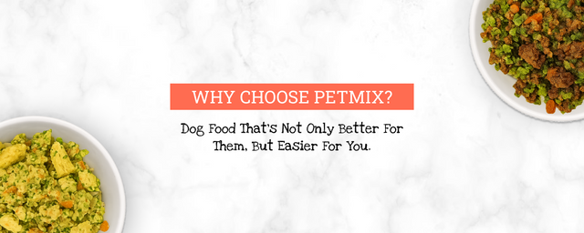 Why Clean Dog Food? – Healthy Dogma