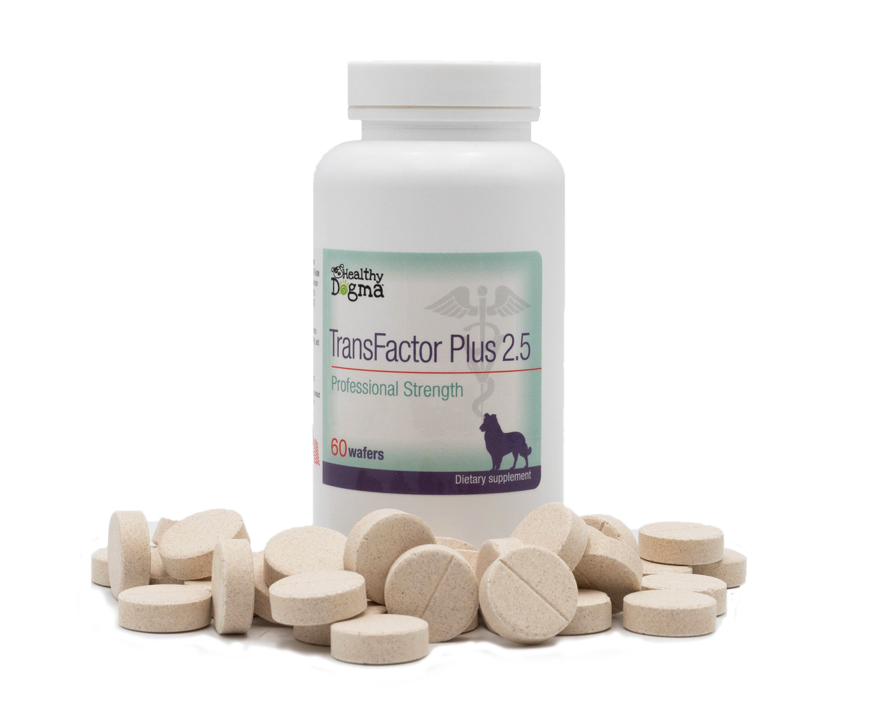 Welcome - Healthy Dogma